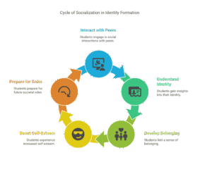 Importance of Socialization in School: Shaping Social Skills