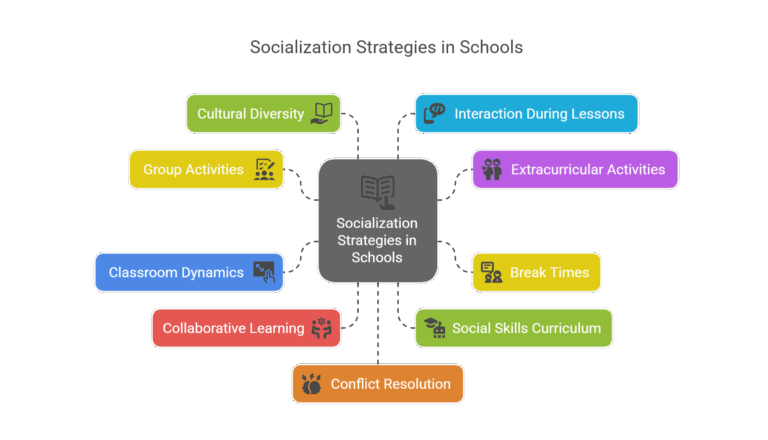 Importance of Socialization in School: Shaping Social Skills